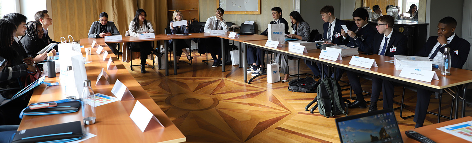 Discover the secrets of global governance | Geneva Business School